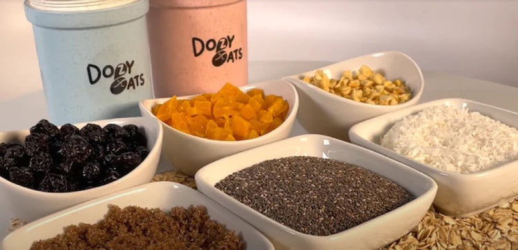 Dozy Oats